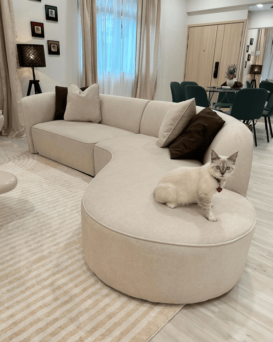 Bless Brothers: Home – Bless Brothers